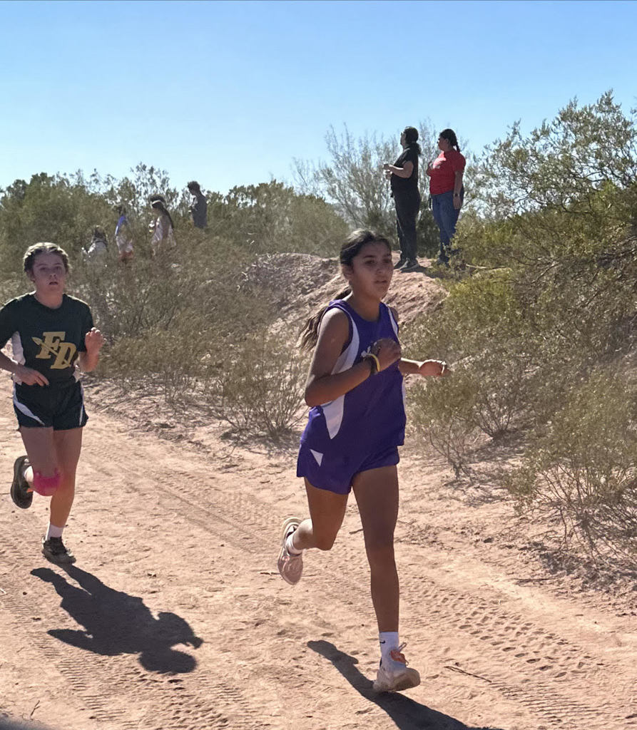 Live Feed | Marfa Independent School District